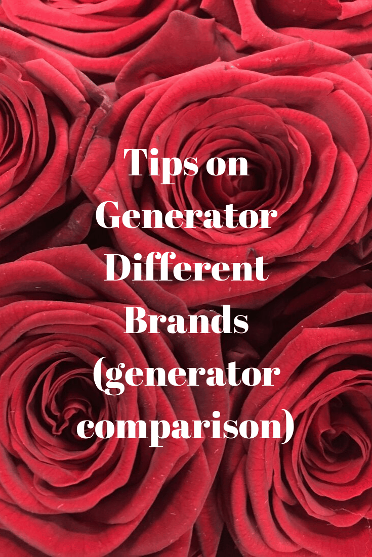 The Top Generator Brand Names (Information Guide) - Generators Zone