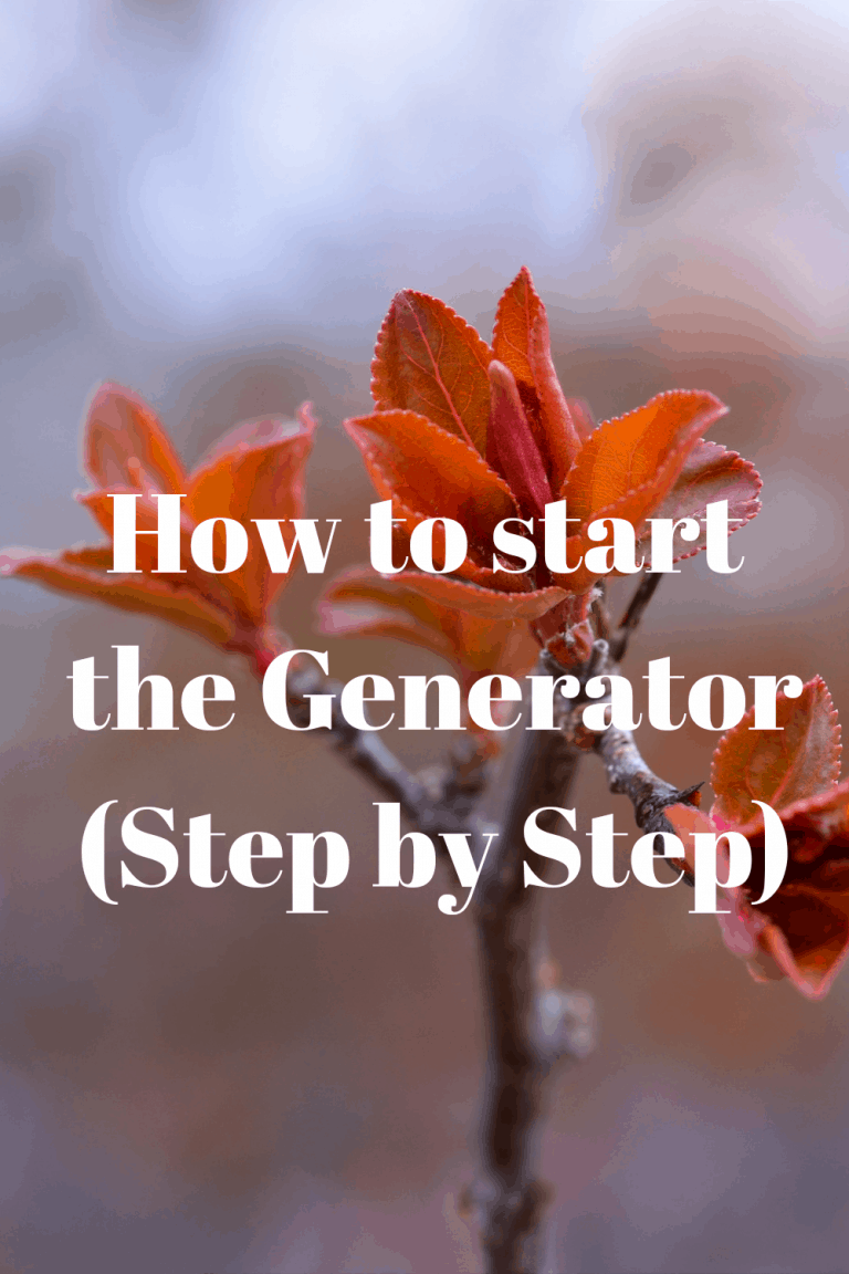 How to start the Generator (Step by Step) - Generators Zone